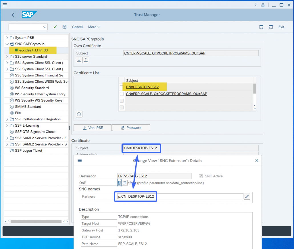 Creating an SNC RFC connection with ERP-Scale | Pocket Programs