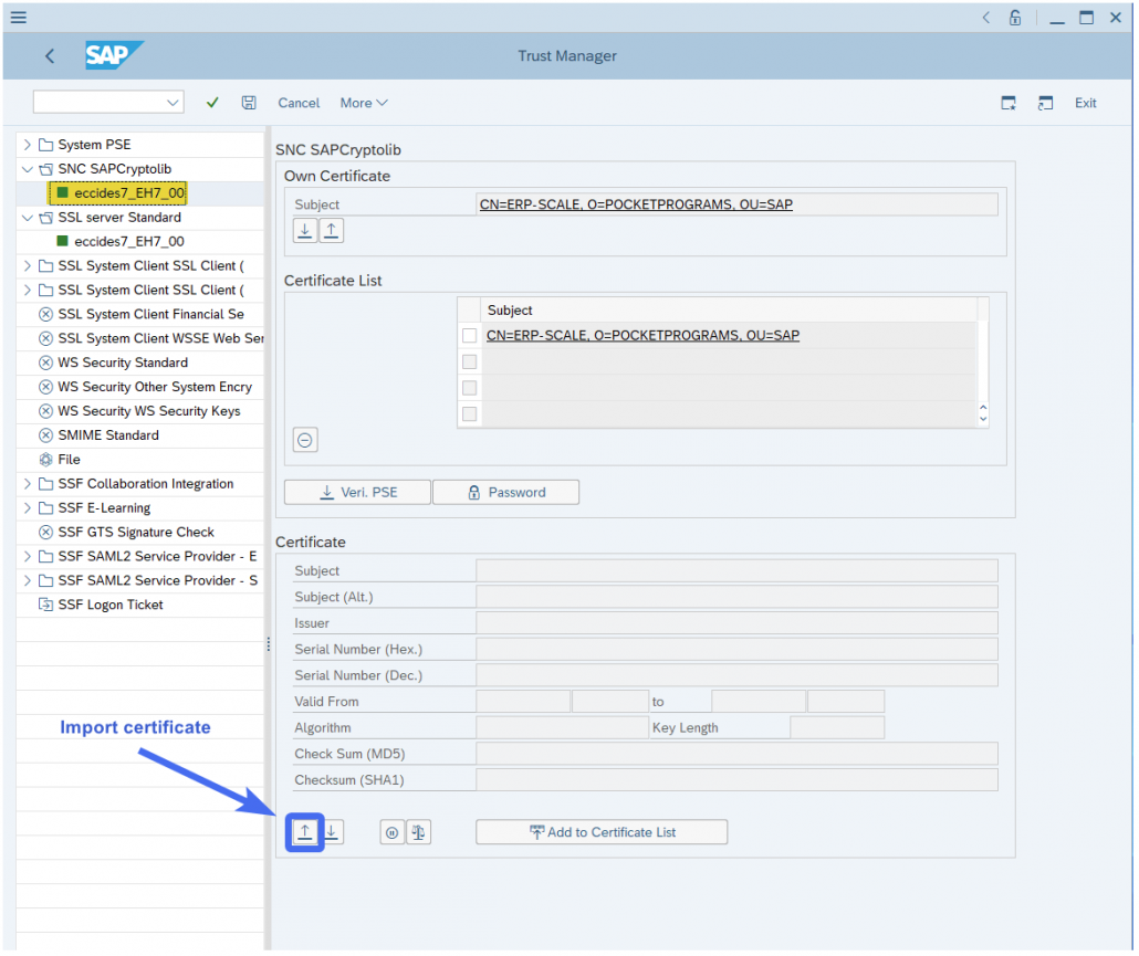Creating an SNC RFC connection with ERP-Scale | Pocket Programs