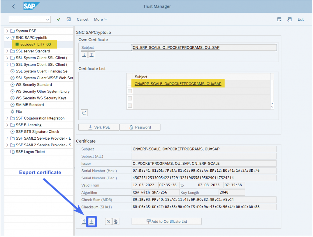 Creating an SNC RFC connection with ERP-Scale | Pocket Programs